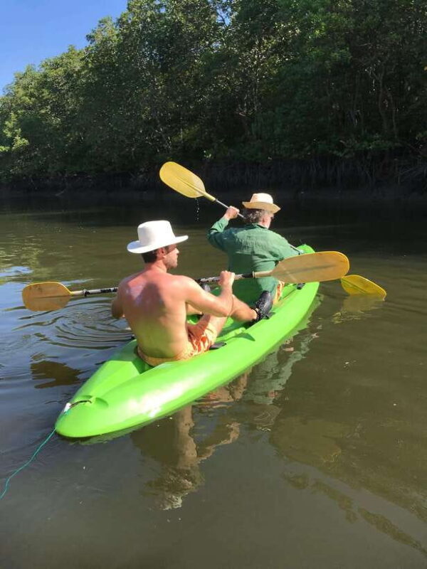 Koh Lanta: Amazon Mangrove Kayaking Tour With Lunch - Who Would Enjoy This Tour?