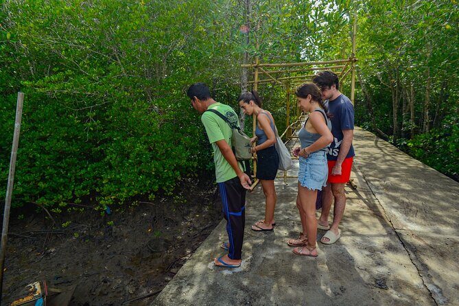Koh Lanta Mangrove and Monkey Point Longtail Boat Tour - Who Should Consider This Tour?