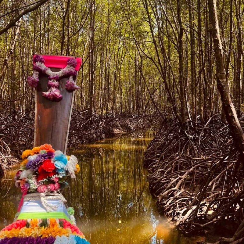 Koh Lanta: Mangrove Forest Longtail Boat Tour with Lunch - Key Points