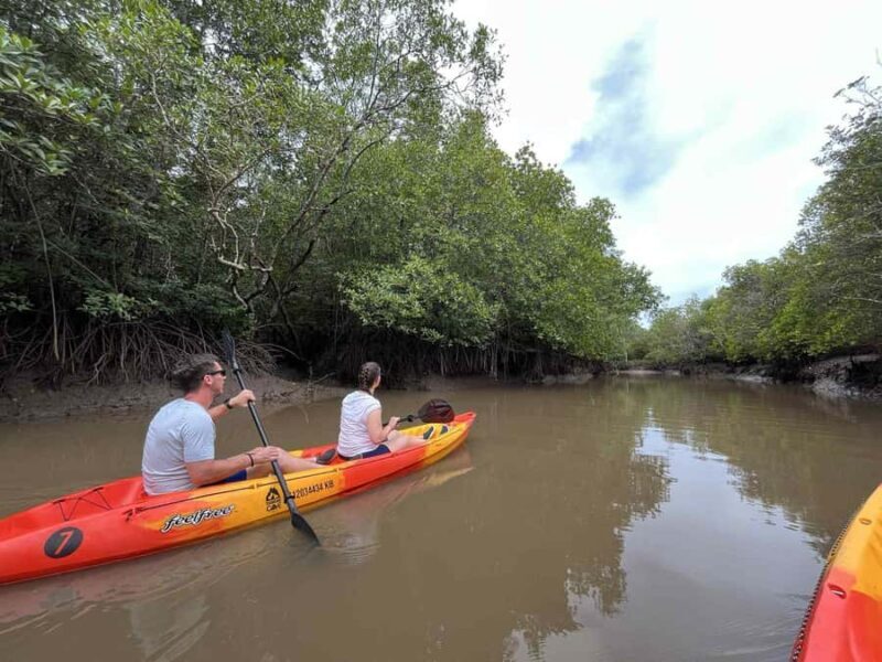 Koh Lanta: Mangrove Kayaking Tour with Hotel Pickup & Lunch - Practical Tips for Future Participants