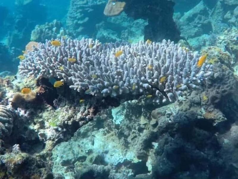 Koh Lanta: Options of Old Town, Mangrove, Kayaking or Island - Who Will Love This Tour?