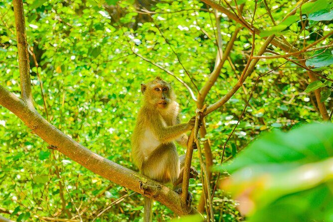 Koh Lanta Private Longtail Boat Fishing Experience - FAQ