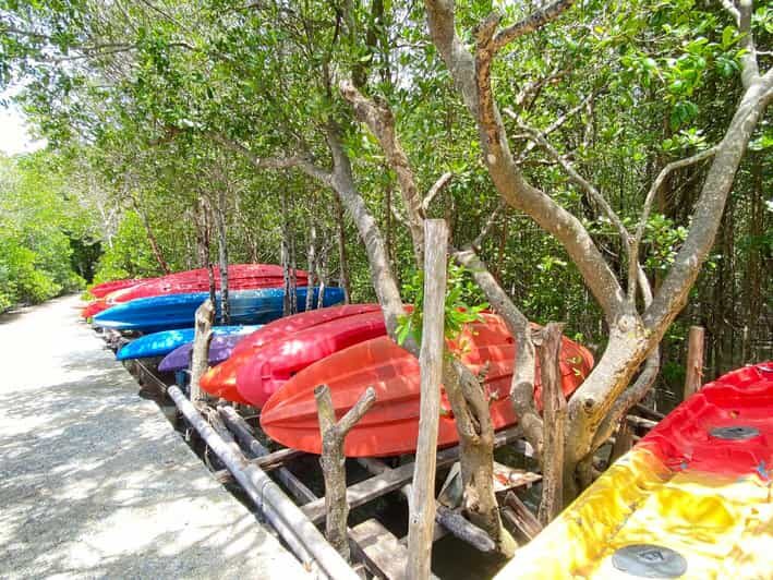 Koh Lanta:Mangrove + Elephant Camp Half Day Tour - Who Will Love This Tour?