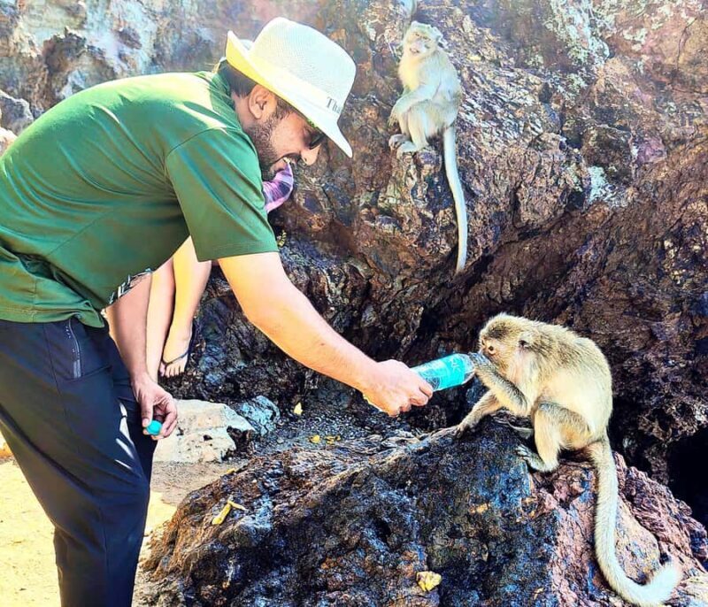 Koh Larn Monkey Beach Guided Tour and Watersports - Key Points