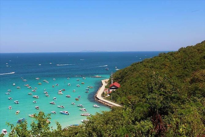 Koh Larn Trip from Pattaya including Lunch at the beach - What the Reviews Say