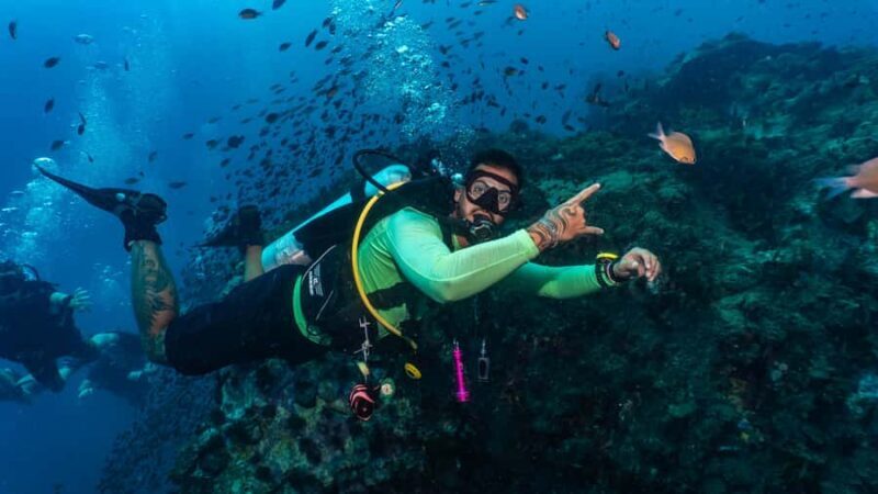 Koh Lipe: 3-Day Open Water Certification Course in Paradise - The Authentic Experience: What Travelers Really Say