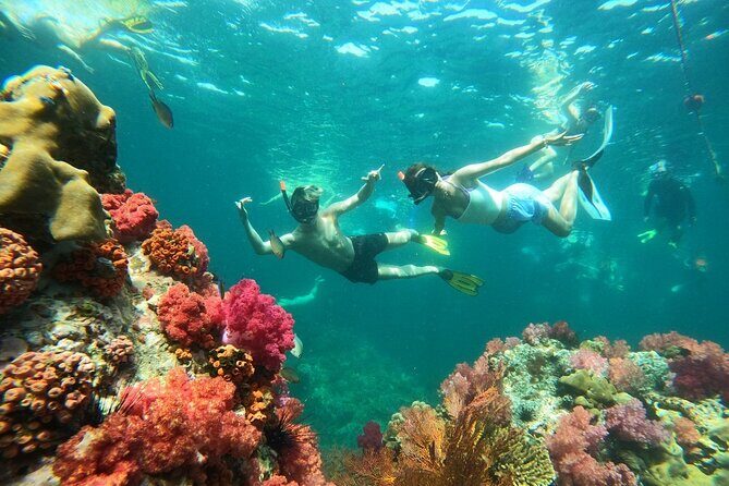 Koh Lipe 4 Islands Snorkeling and Sunset by Longtail Boat - Introducing the Koh Lipe 4 Islands Snorkeling and Sunset Tour