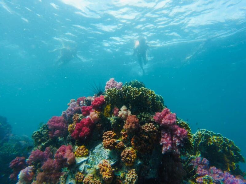 Koh Lipe: 7 Island Snorkeling Trip by Longtail Boat w/ Lunch - Review Highlights & Traveler Feedback