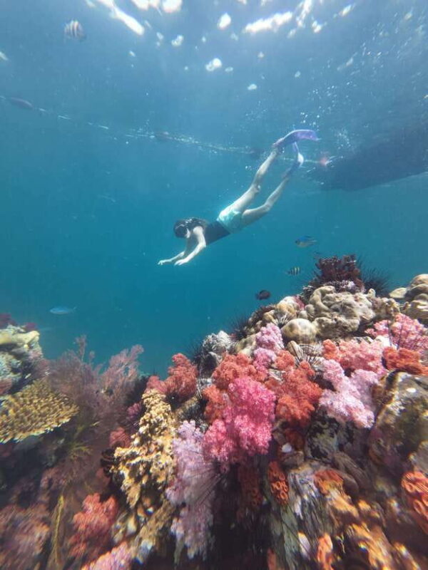 Koh Lipe: Half-Day Snorkeling (Morning/Afternoon/Sunset) - What’s Included and Practicalities