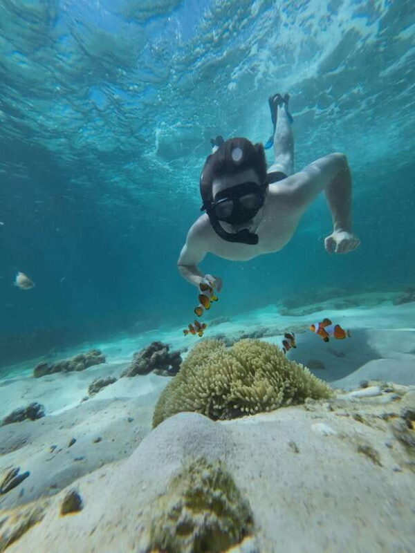 Koh Lipe: Half-Day Snorkeling (Morning/Afternoon/Sunset) - The Experience: What Real Travelers Say