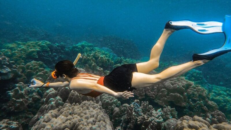 Koh Lipe: Longtail Boat Snorkeling Trip Program A - Pricing and Value