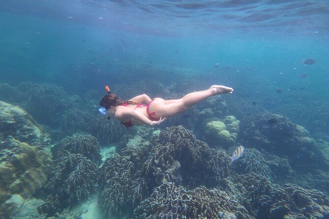 Koh Lipe Morning Snorkeling Trip 4 Islands, 5 Spots - An In-Depth Look at the Koh Lipe Snorkeling Tour