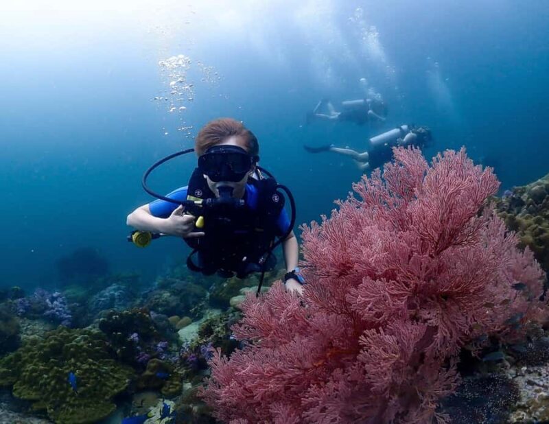 Koh Lipe: Scuba Refresher and Fun Dive for Certified Divers - Why This Tour Offers Great Value