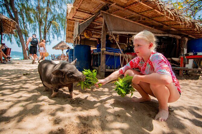 Koh Madsum and Koh Tan Snorkeling Trip By Speedboat From Koh Samui - Key Points