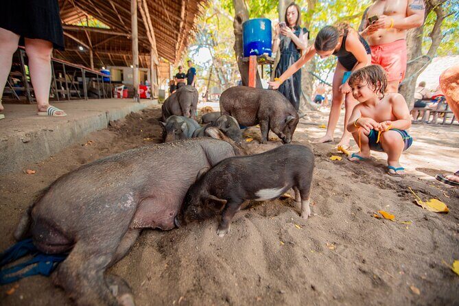 Koh Madsum and Koh Tan Snorkeling Trip By Speedboat From Koh Samui - Final Thoughts