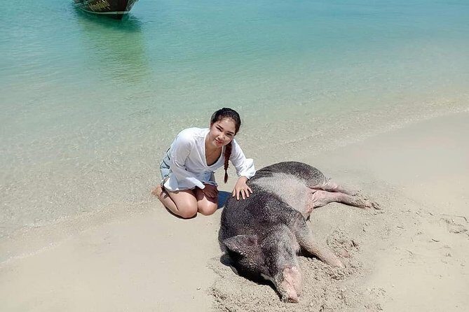 Koh Madsum and Koh Tan Snorkeling Trip By Speedboat From Koh Samui - FAQ