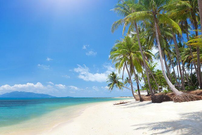 Koh Madsum (Pig island) and Koh Tan Day Tour from Koh Samui - Who Should Consider This Tour?