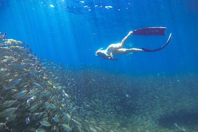 Koh Nang Yuan and Koh Tao 5 Point Snorkeling Tour - Who Will Love this Tour?