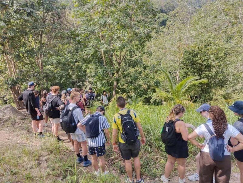 Koh Phangan: Hidden Jungle Trekking & Waterfall Adventure - Key Points
