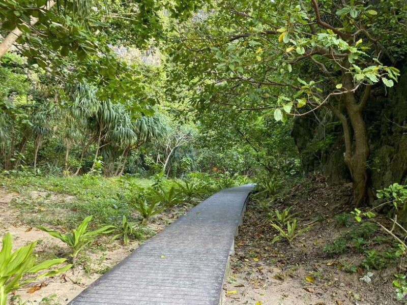 Koh Phi Phi: Early Morning Maya Bay, Bamboo Speedboat Tour - The Real Value of This Tour
