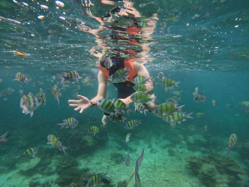 Koh Phi Phi: Early Morning Maya Bay, Bamboo Speedboat Tour - The Sum Up: Who Should Book This Tour?