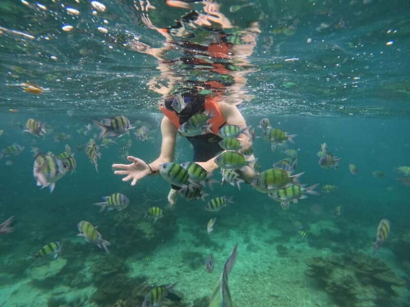 Koh Phi Phi: Halfday Sunset Bamboo & Nui Bay Speedboat Tour - Key Points