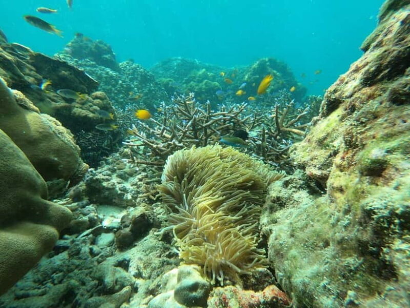 Koh Phi Phi: Halfday Sunset Bamboo & Nui Bay Speedboat Tour - Practical Details and Considerations