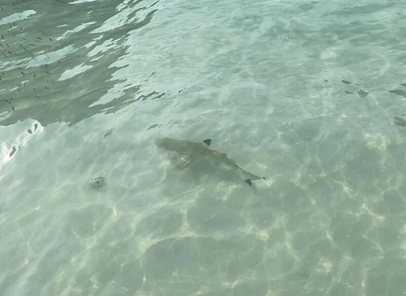 Koh Phi Phi: One-Day Maya Bay, Bamboo & Sunset by Speedboat - FAQ