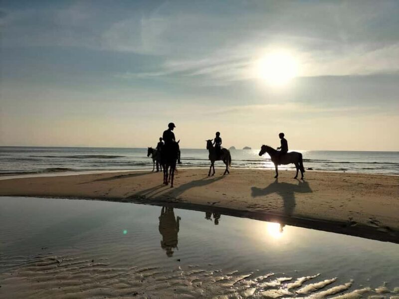 Koh Samui: 1-Hour Horseback Riding on Taling Ngams Shores - An Overview of the Experience