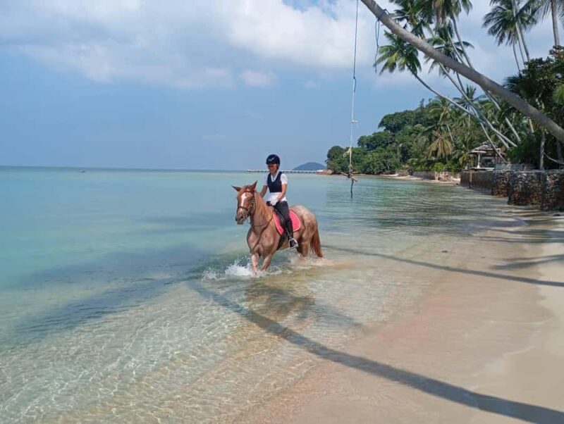 Koh Samui: 1-Hour Horseback Riding on Taling Ngams Shores - Review Highlights and Traveler Feedback