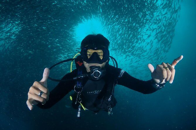 Koh Samui 2-Dive Trip to Sail Rock for certified divers - Why This Tour Stands Out