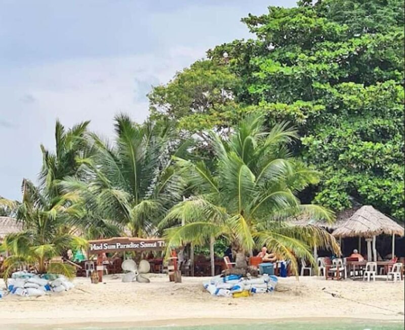 Koh Samui: Amazing Pig Island Tour - Cruise Ship Tours - The Stops: What You’ll See and Do