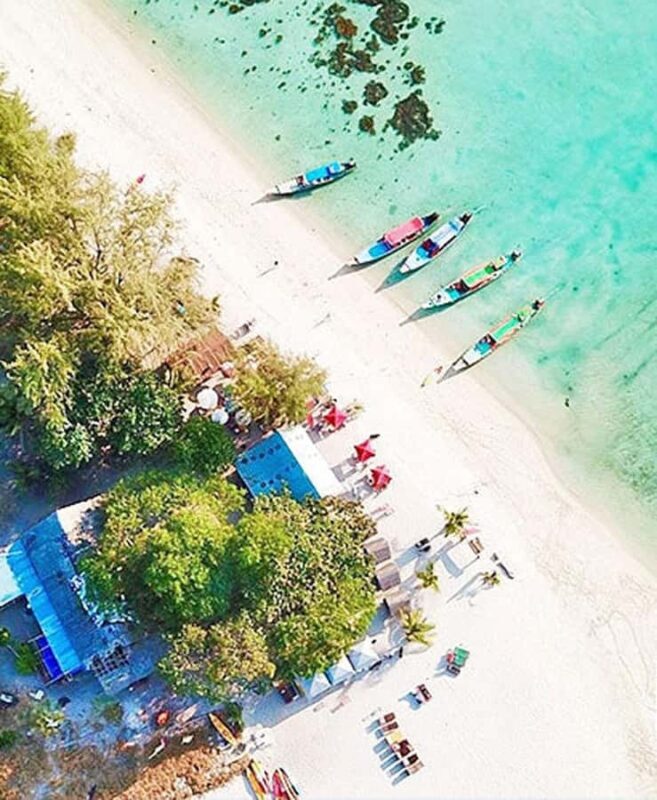 Koh Samui: Amazing Pig Island Tour - Cruise Ship Tours - The Value Proposition