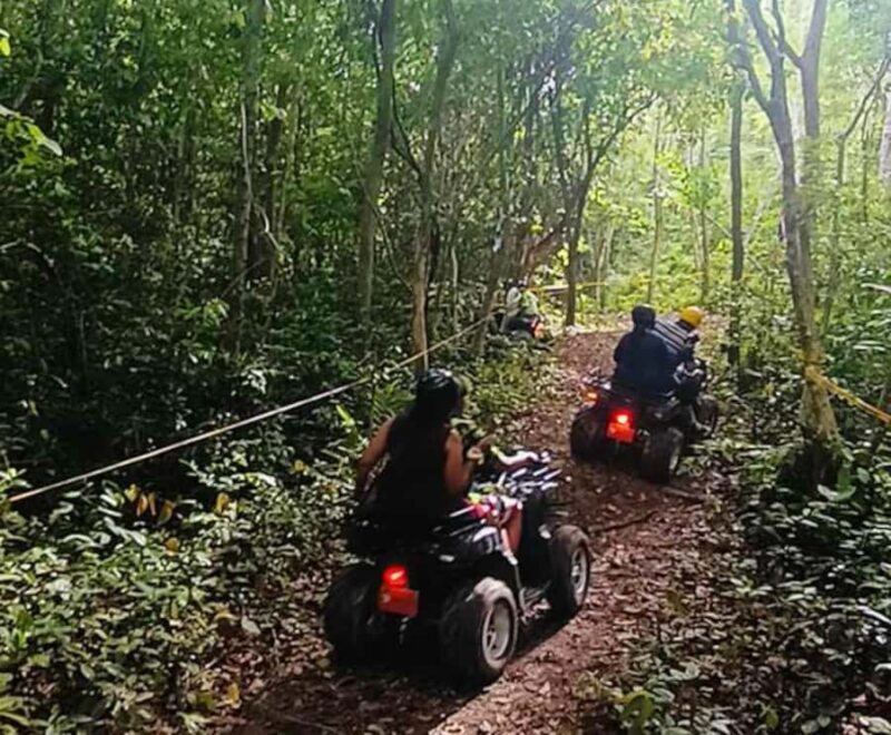 Koh Samui: ATV Jungle Adventure - Waterfalls & Views - Possible Drawbacks and Tips