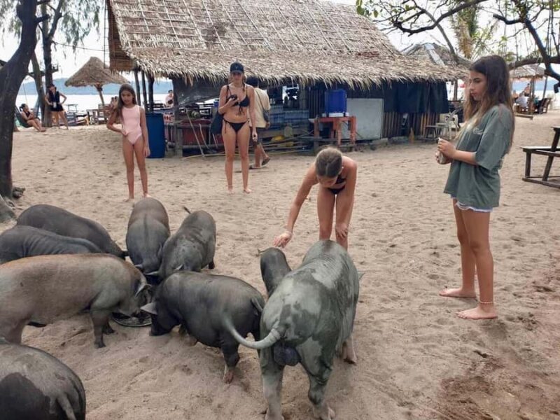 Koh Samui: Authentic Local Luxury Long-Tail Boat Cruise - Final Thoughts