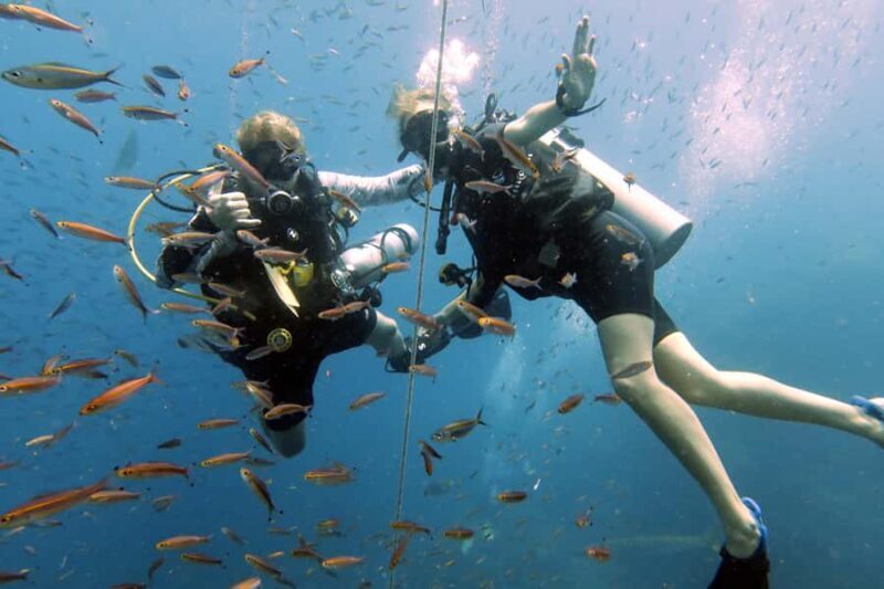 Koh Samui: Discover Scuba Diving - Key Points