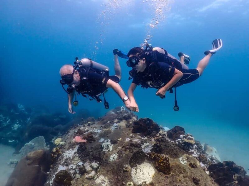 Koh Samui: Discovery Dive to Koh Tao or Sail Rock - An In-Depth Look at the Experience