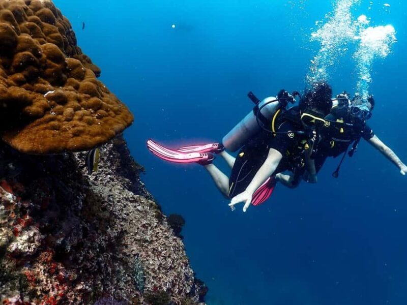 Koh Samui: Dive Tour Chumphon Pinnacles - An In-Depth Look at the Koh Samui Dive Tour to Chumphon Pinnacles