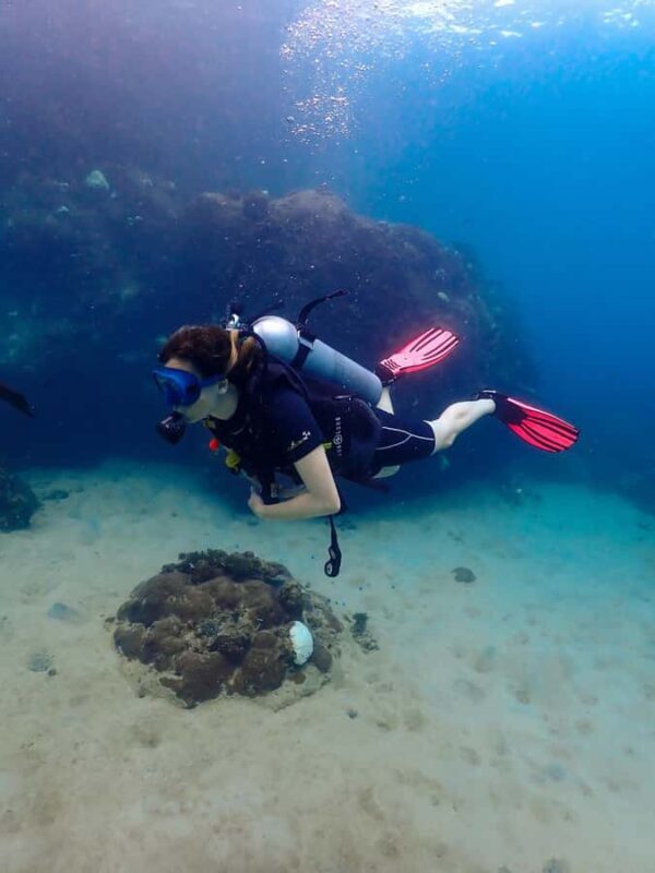 Koh Samui: Dive Tour to Koh Tao - Overview of the Tour Experience