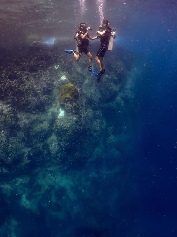 Koh Samui: Dive Tour to Sail Rock - Key Points