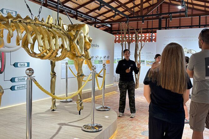 Koh Samui Elephant Home Sanctuary and the first Elephant Museum - A Detailed Look at the Tour Experience