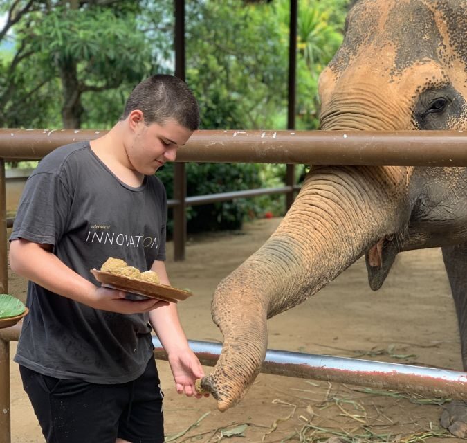 Koh Samui: Elephant Sanctuary and Jungle Tour with Lunch - Real Traveler Insights