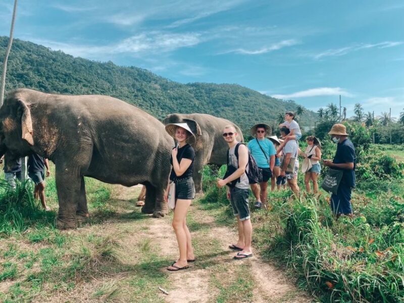 Koh Samui: Elephant Sanctuary and more - Full Day - Final Thoughts: Who Will Love This Tour?