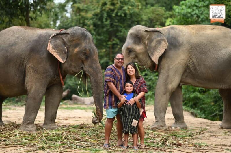 Koh Samui: Elephant Sanctuary Entry and Feeding Experience - An In-Depth Look at the Koh Samui Elephant Sanctuary Experience