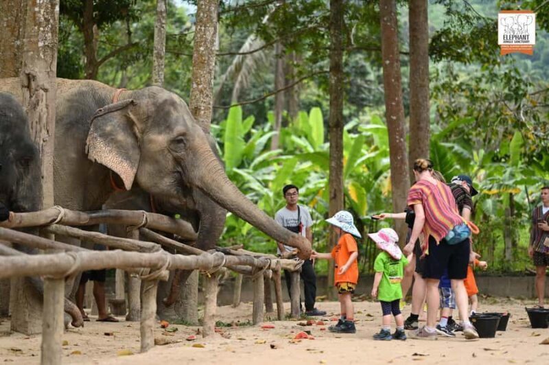 Koh Samui: Elephant Sanctuary Entry and Feeding Experience - Frequently Asked Questions