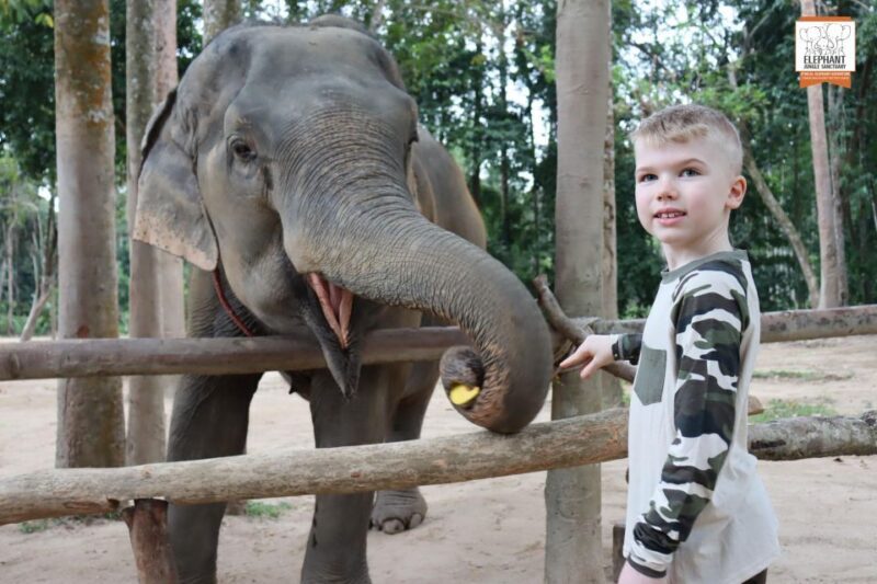 Koh Samui: Elephant Sanctuary Entry and Feeding Experience - Who Should Consider This Tour?