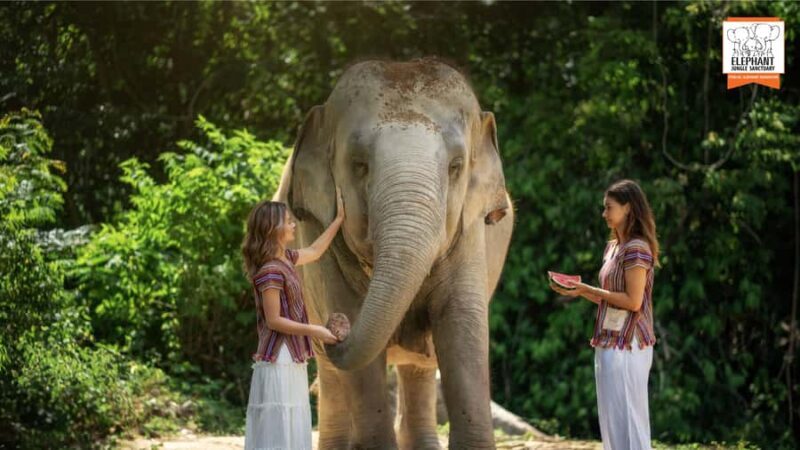 Koh Samui: Elephant Sanctuary Tour - Feed & Shower Elephants - Value and Cost