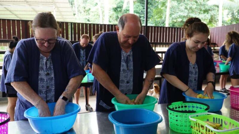 Koh Samui: Elephant Sanctuary Visit with Mud Spa & Lunch - An In-Depth Look at What You Can Expect