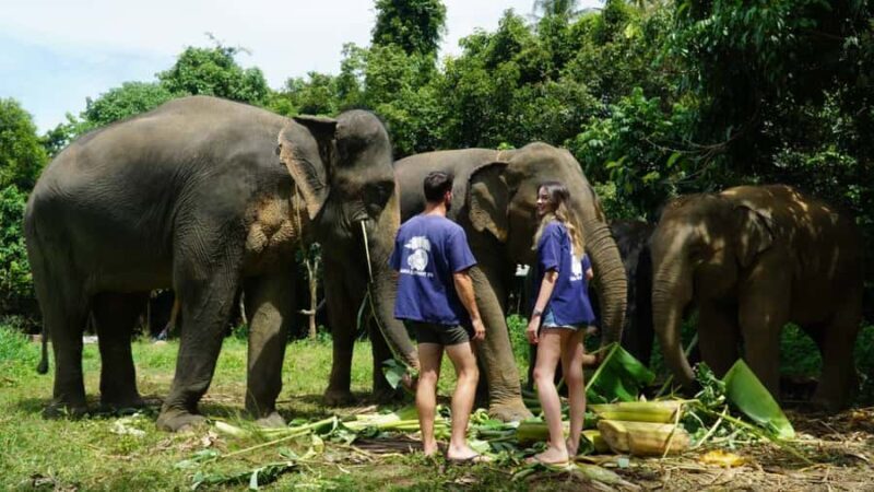 Koh Samui: Elephant Sanctuary Visit with Mud Spa & Lunch - Who Is This Tour Best For?