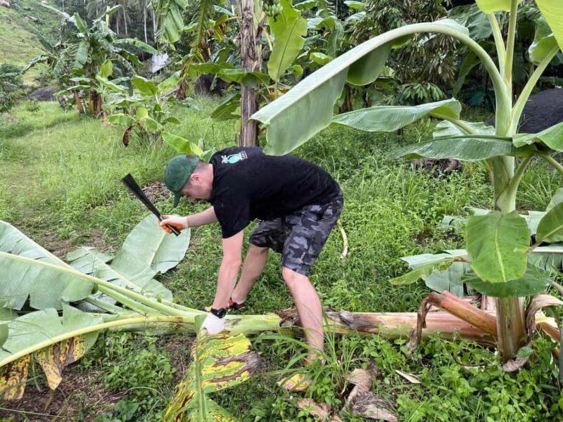 Koh Samui: Ethical Elephant Sanctuary Tour with Buffet Lunch - Key Points